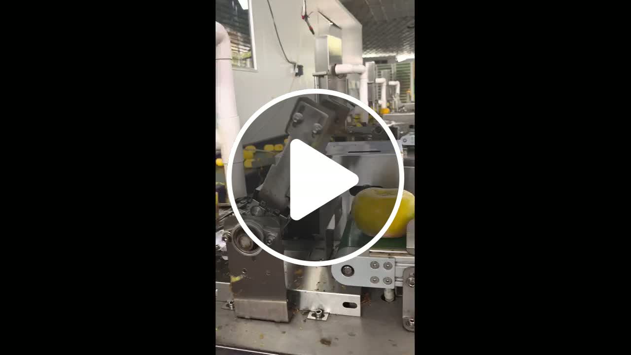 China: Persimmon peeling machine amazes Chinese viewers - NewsBreak