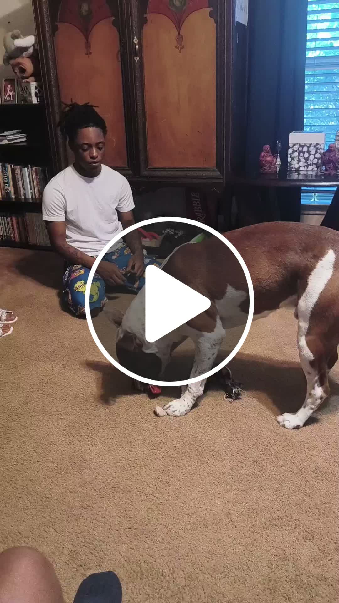 More Christmas fun with the fam 2025 - NewsBreak