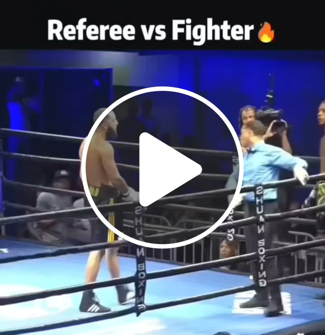 💥Referee Vs. Fighter💥#sports#crazy#fight#fafo - NewsBreak