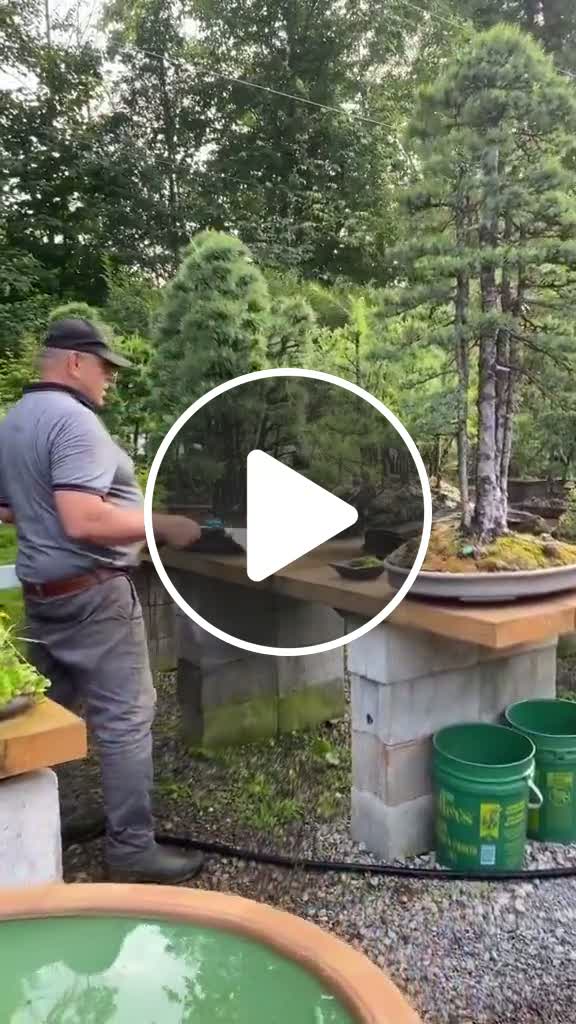 David Easterbrook, a gardener from Canada, has dedicated his life to ...