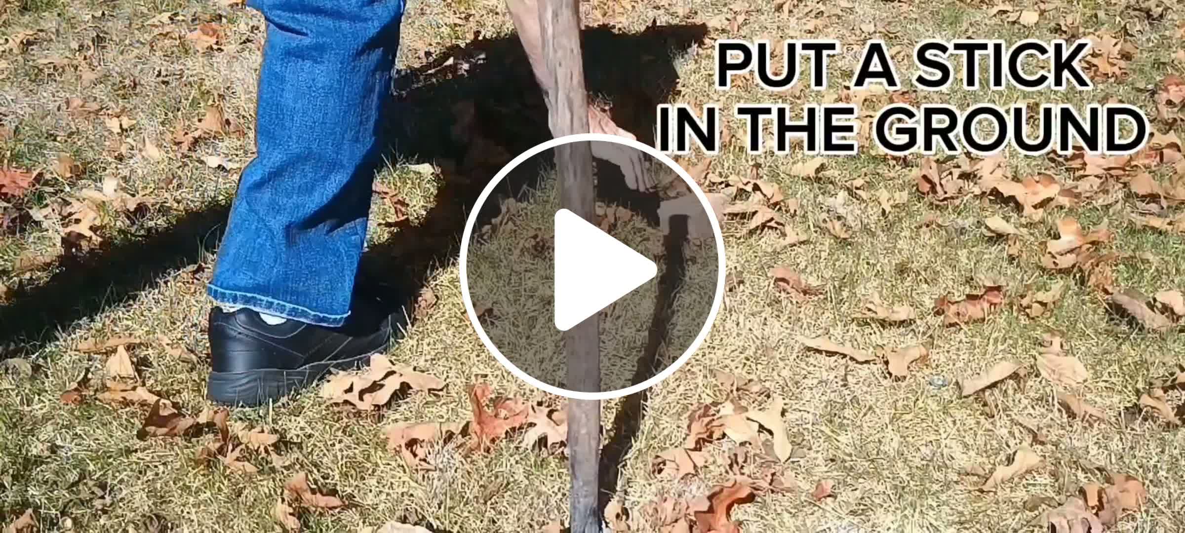 "Lost your way? No GPS? No problem! Learn how to make a simple yet effective shadow stick ...