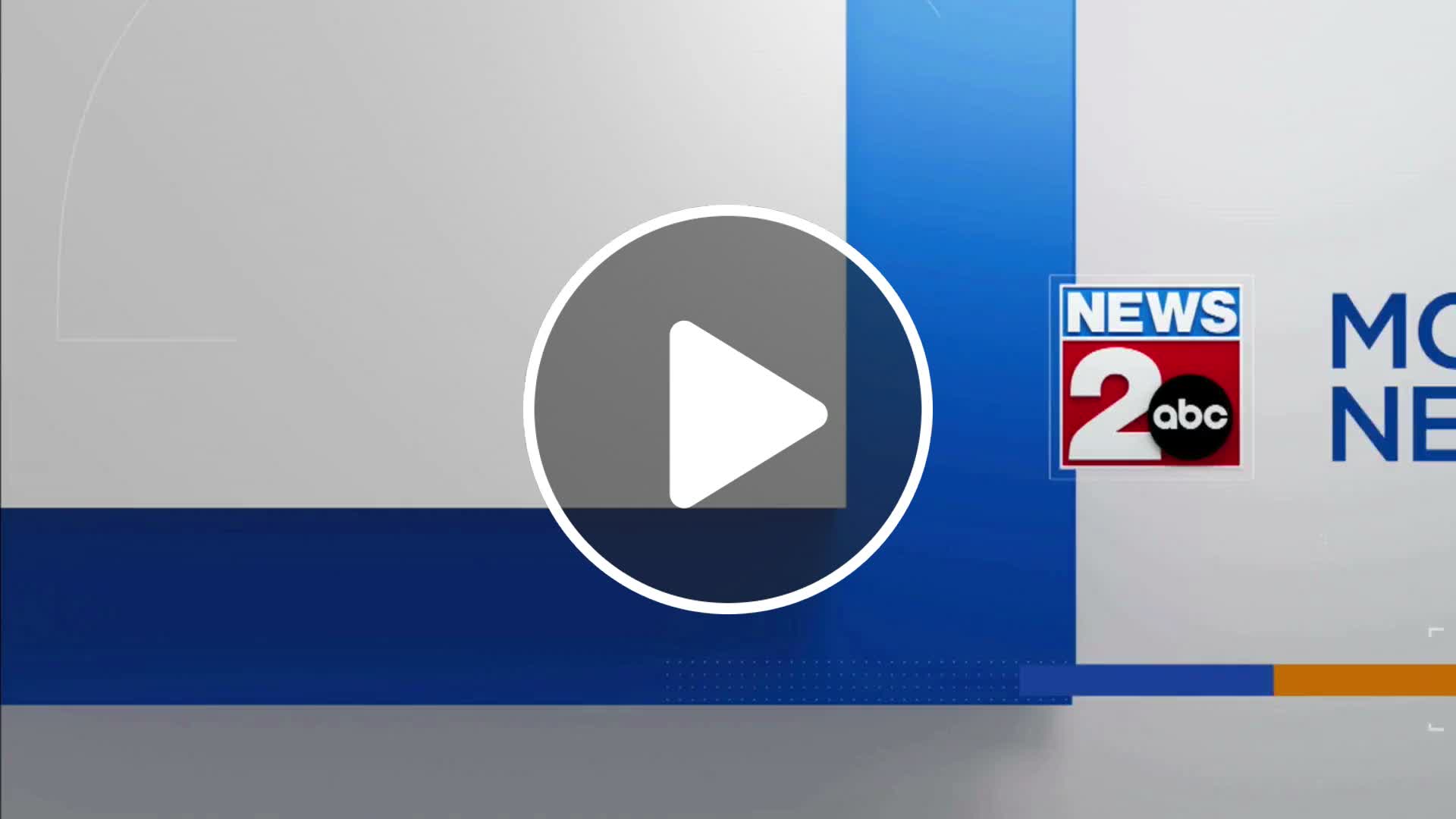 Bear spotted in Westmoreland - NewsBreak