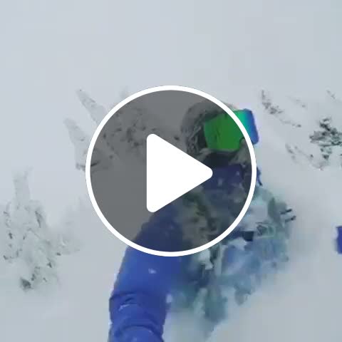 Breakfast Lunch Dinner tatummonod#ski #freeride #gopro gopro - NewsBreak