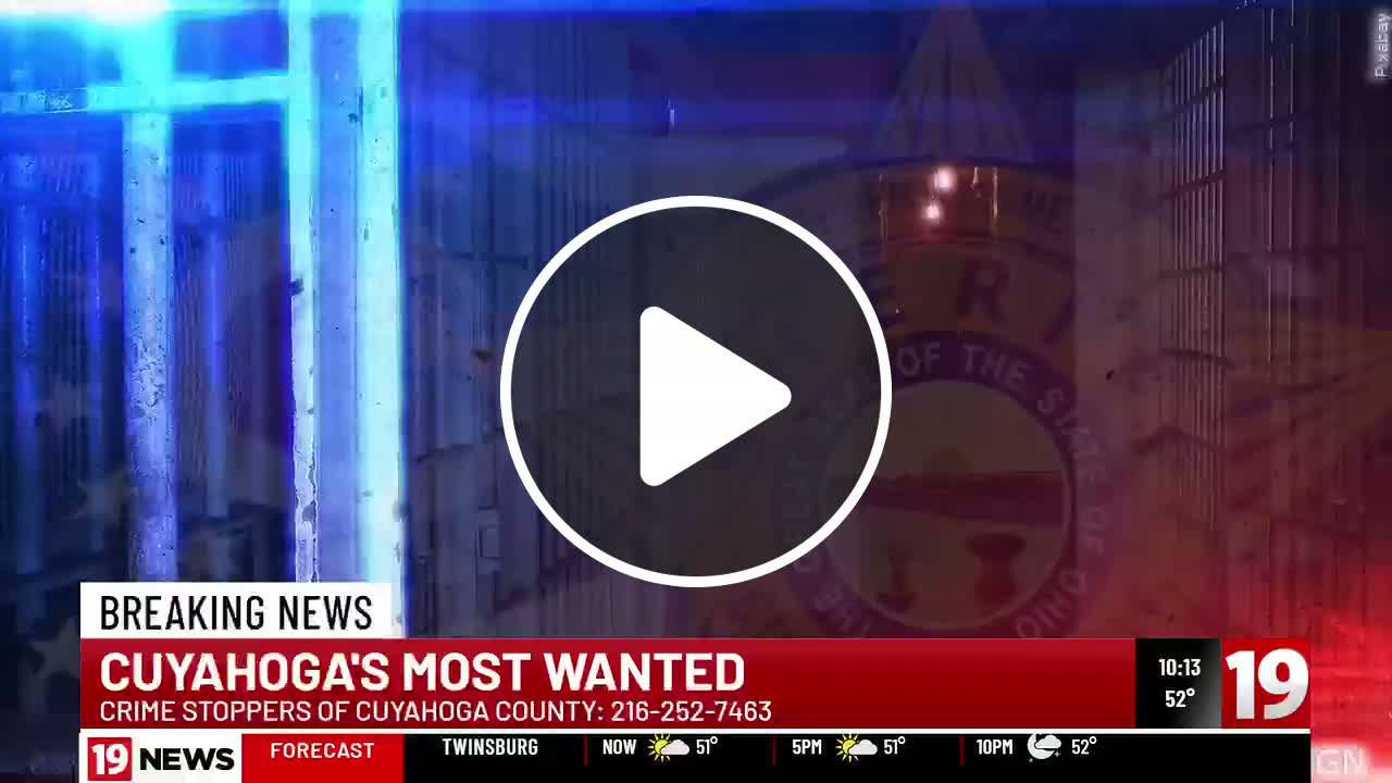 WANTED: Cleveland woman on the run facing multiple animal cruelty ...