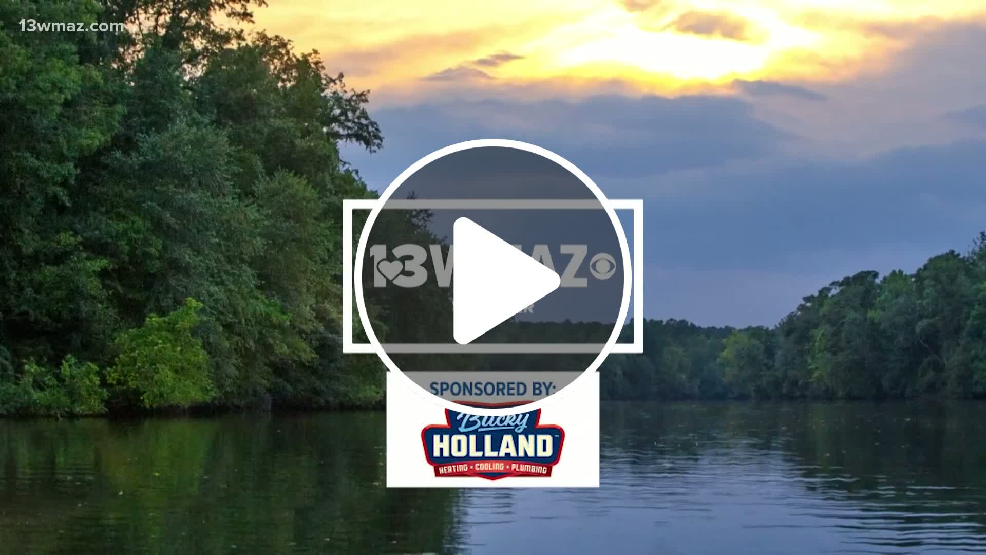 Tesla’s humanoid robot Optimus just hit the red carpet at the Tron ...