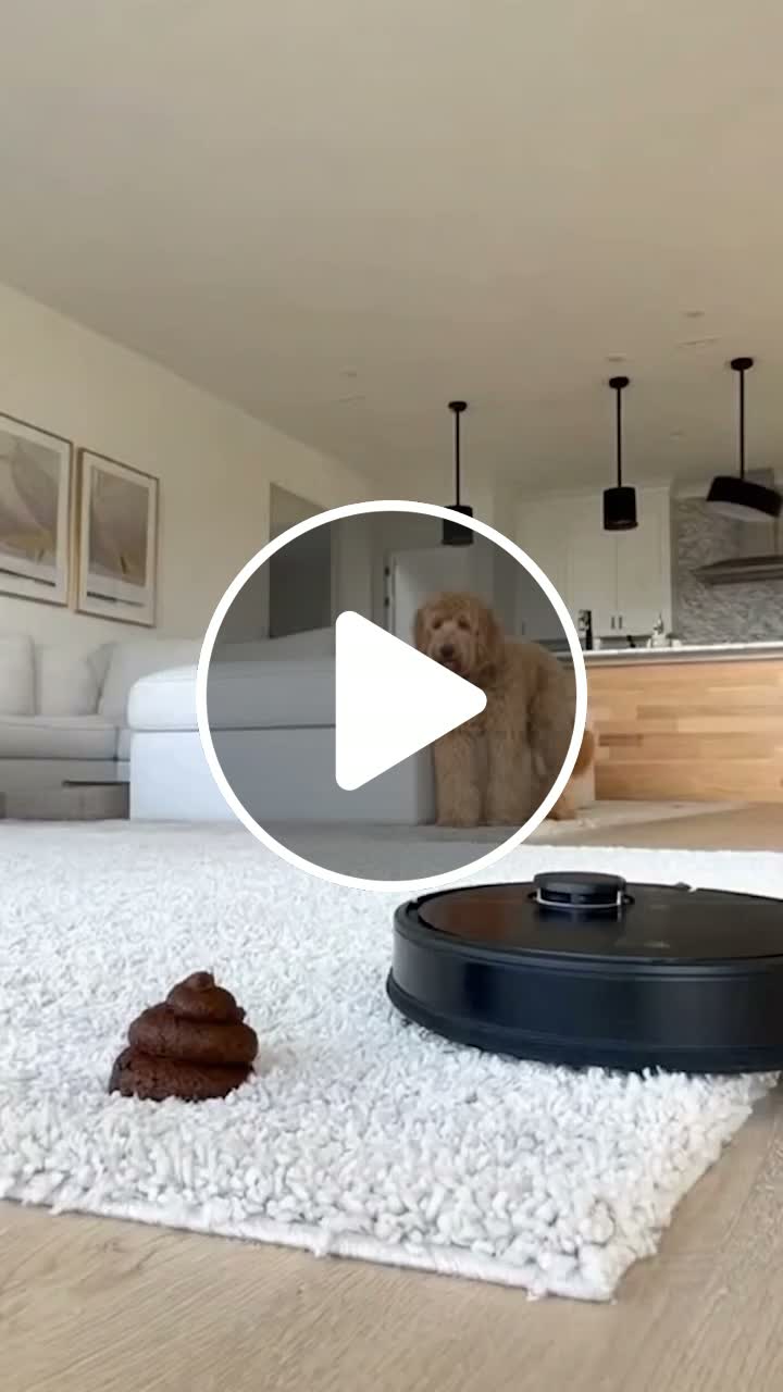 THE POOPOCALYPSE IS REAL My Robot Vacuum Turned Evil AI - NewsBreak