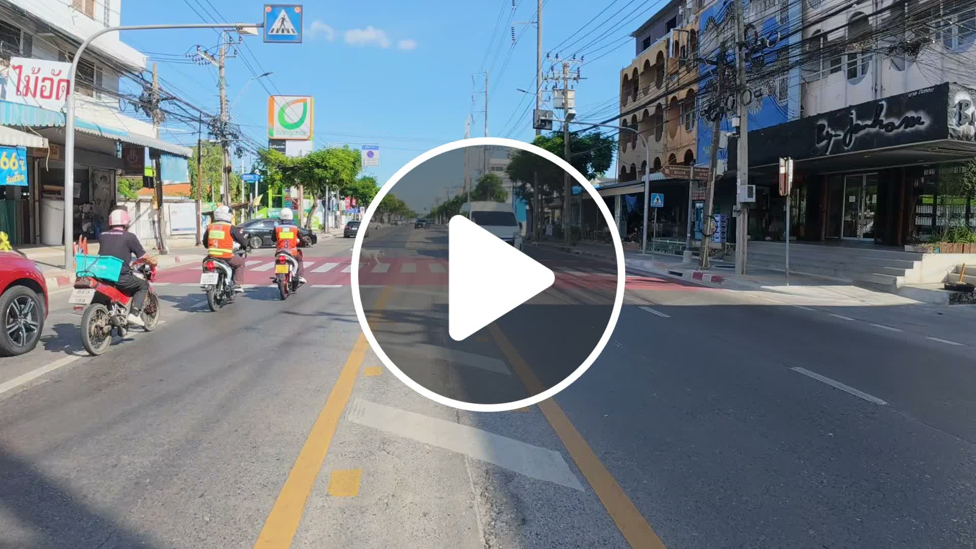Clever stray dogs use pedestrian crossing as cars stop for them - NewsBreak