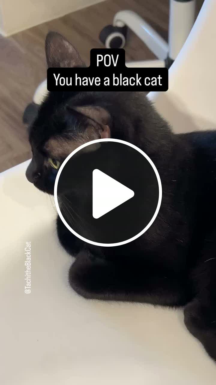 George Clooney Reflects on His Past Friendship With Donald Trump: ‘He ...