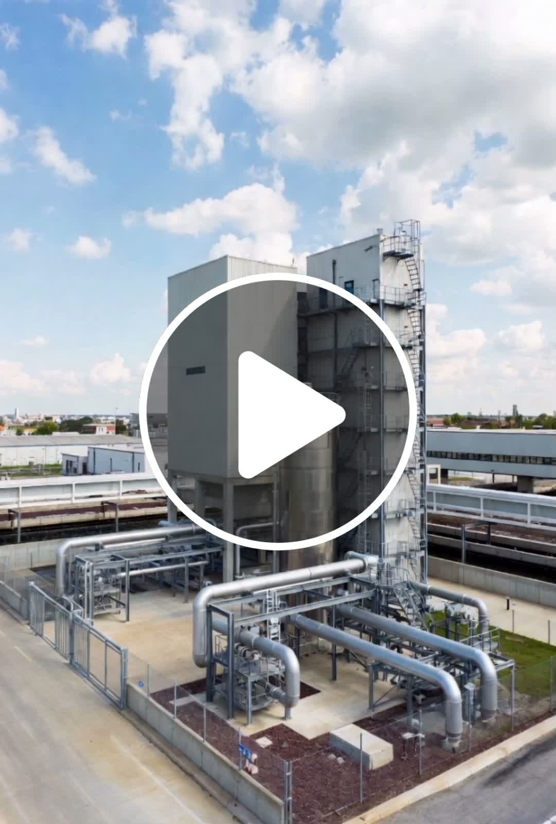 estrogen pollution kills Coral, cess-pool. - NewsBreak