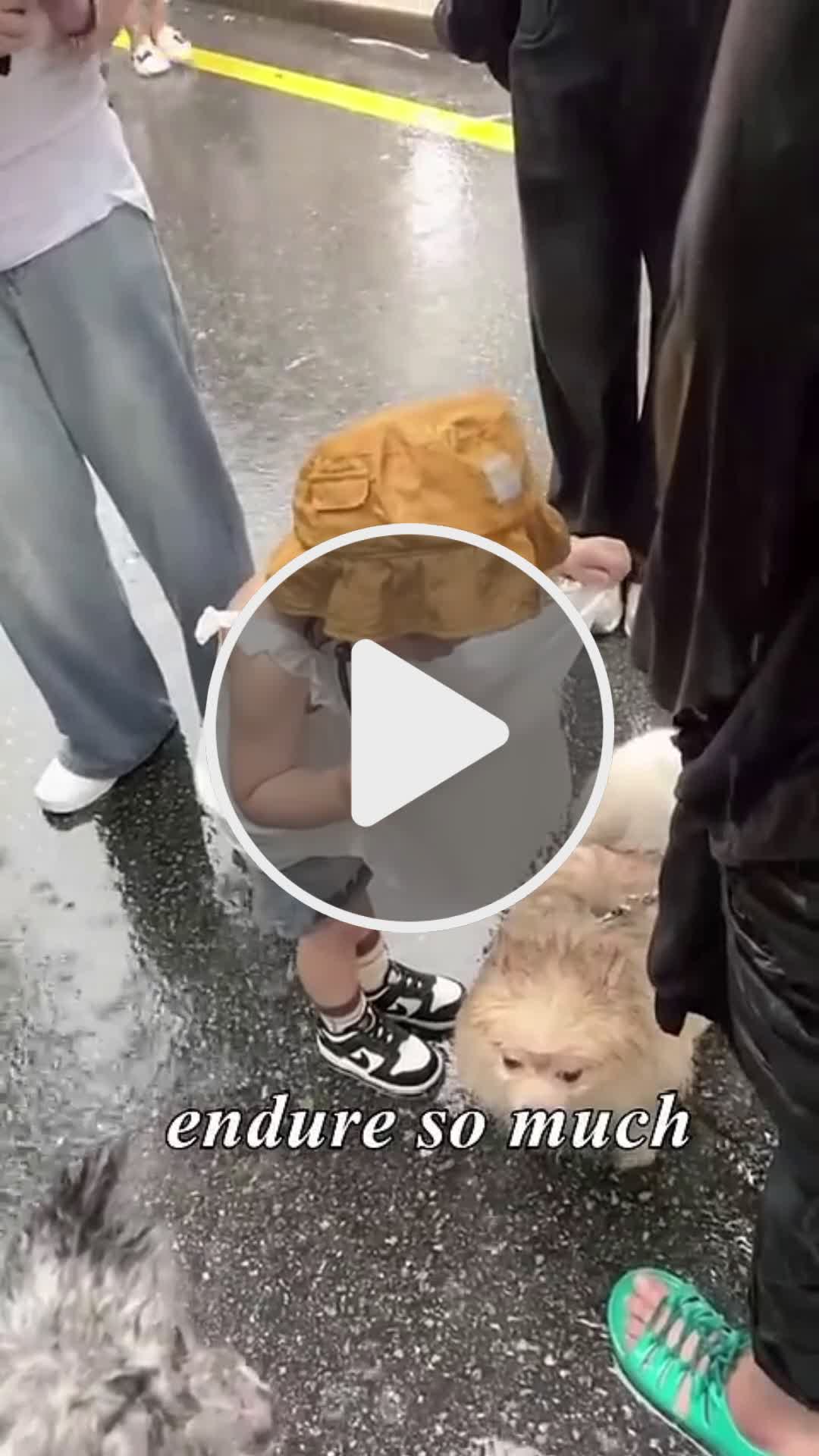 Little Girl Protects Dog from Rain ️ Heartwarming Act of Kindness # ...