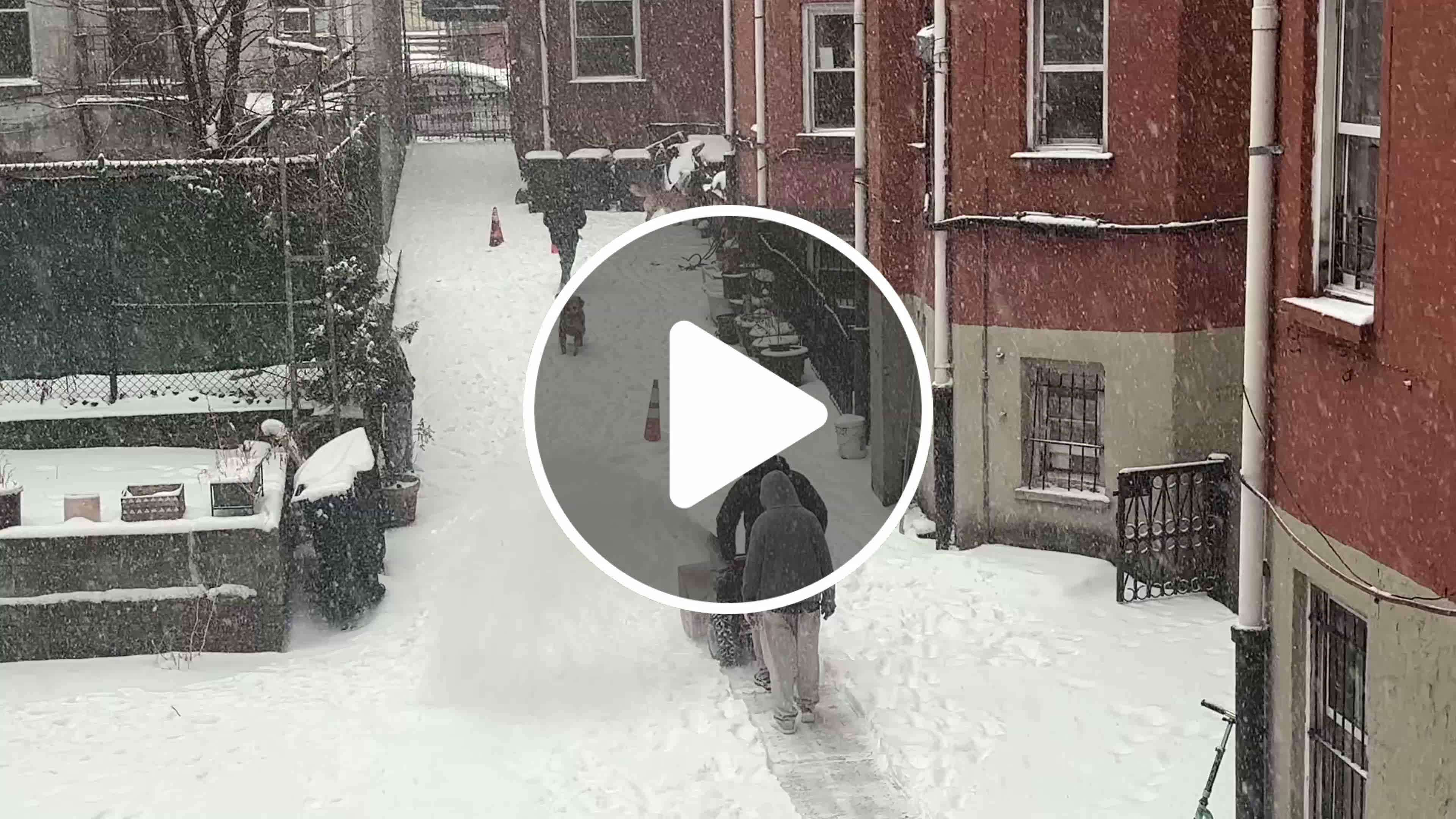 Determined Residents Navigate Winter Storm as Snow Blankets Brooklyn ...