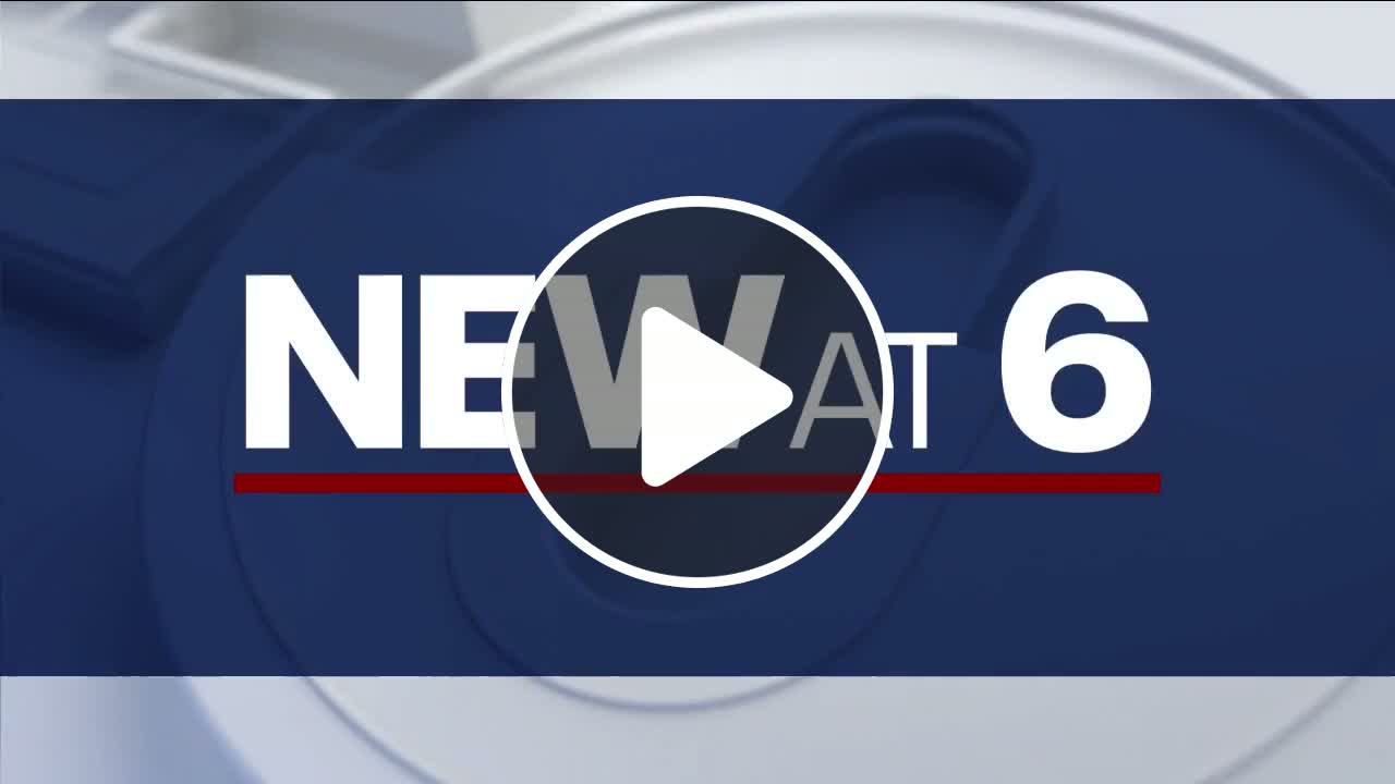 Great blue heron rescued after being tangled in fishing line - NewsBreak