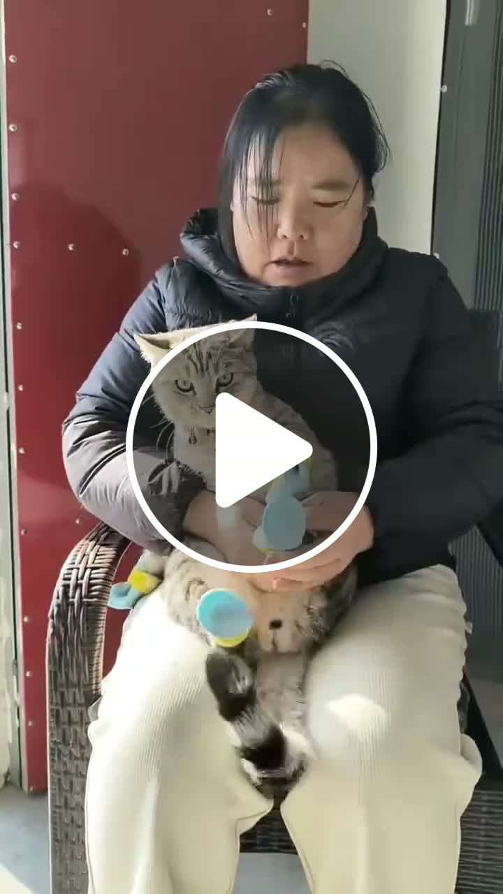 Cat struggles to walk with paw covers in Jiangsu, China - NewsBreak