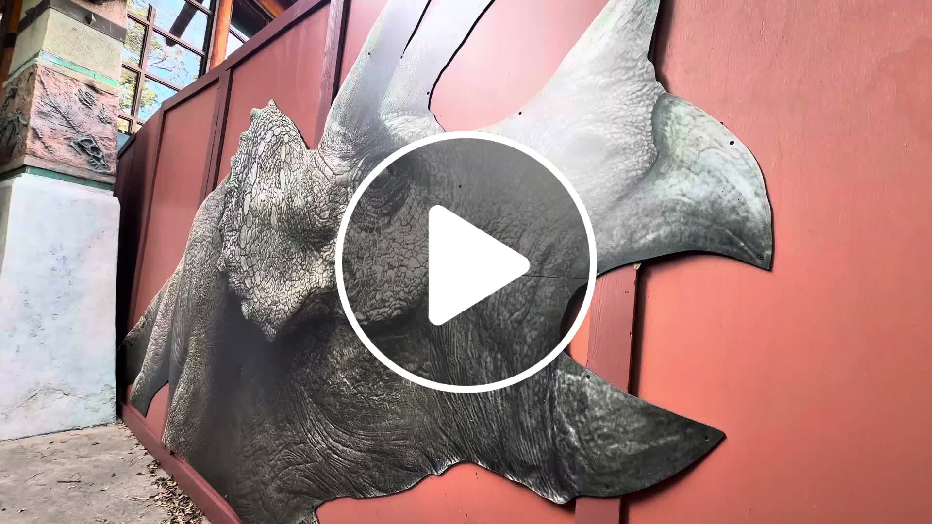 Jurassic Park River Adventure Construction Wall - Can You Name All The ...