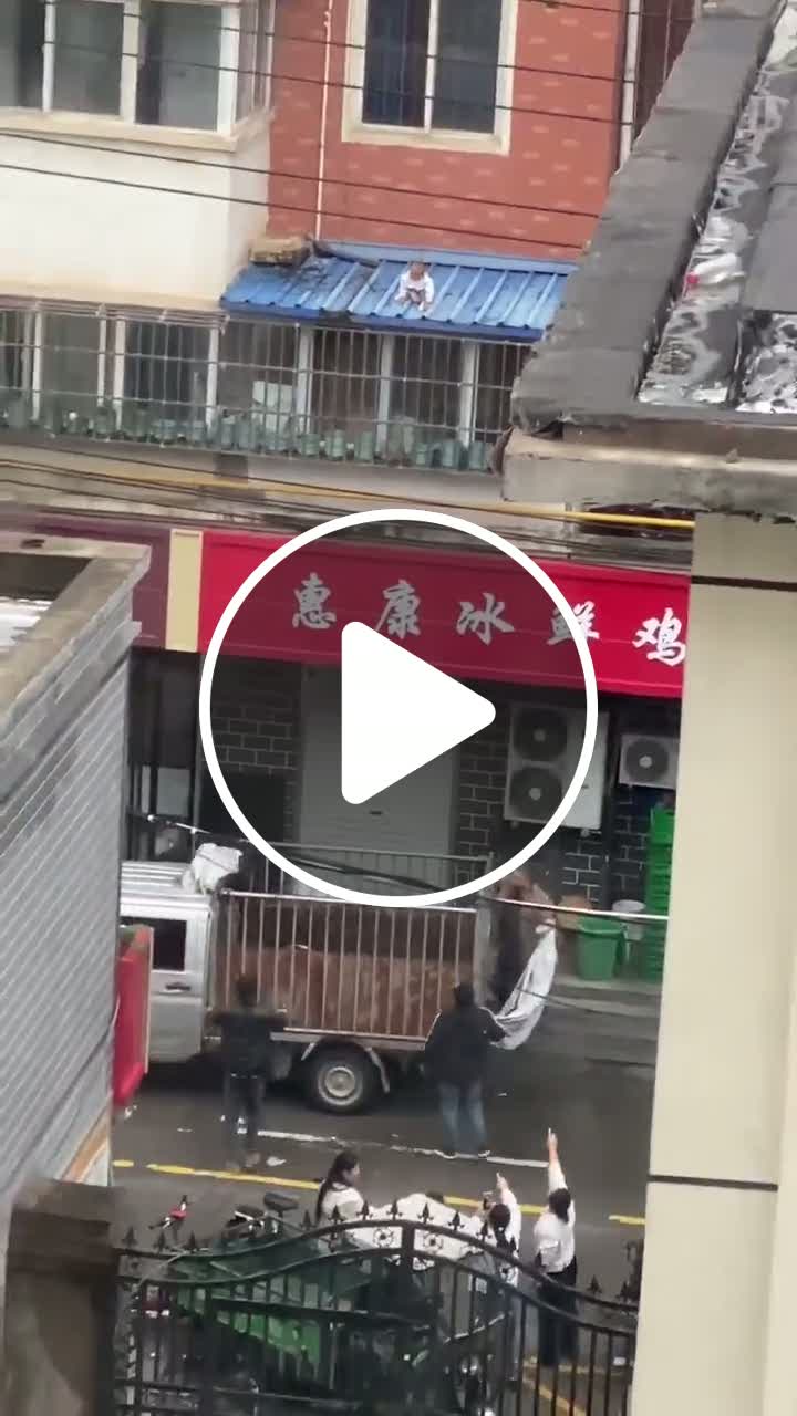 Strangers unite to save child who fell from top floor onto a lower roof ...