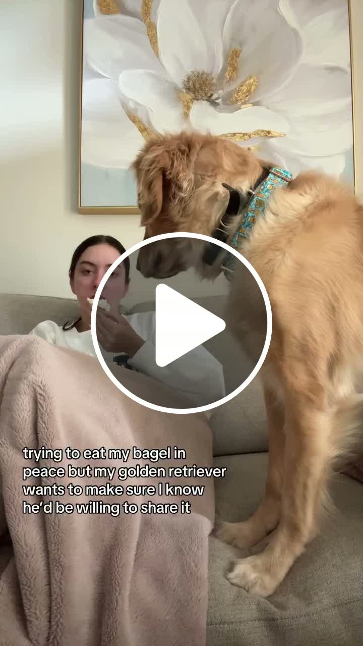 Nancy Mace escalates fallout from foul-mouthed airport meltdown with ...