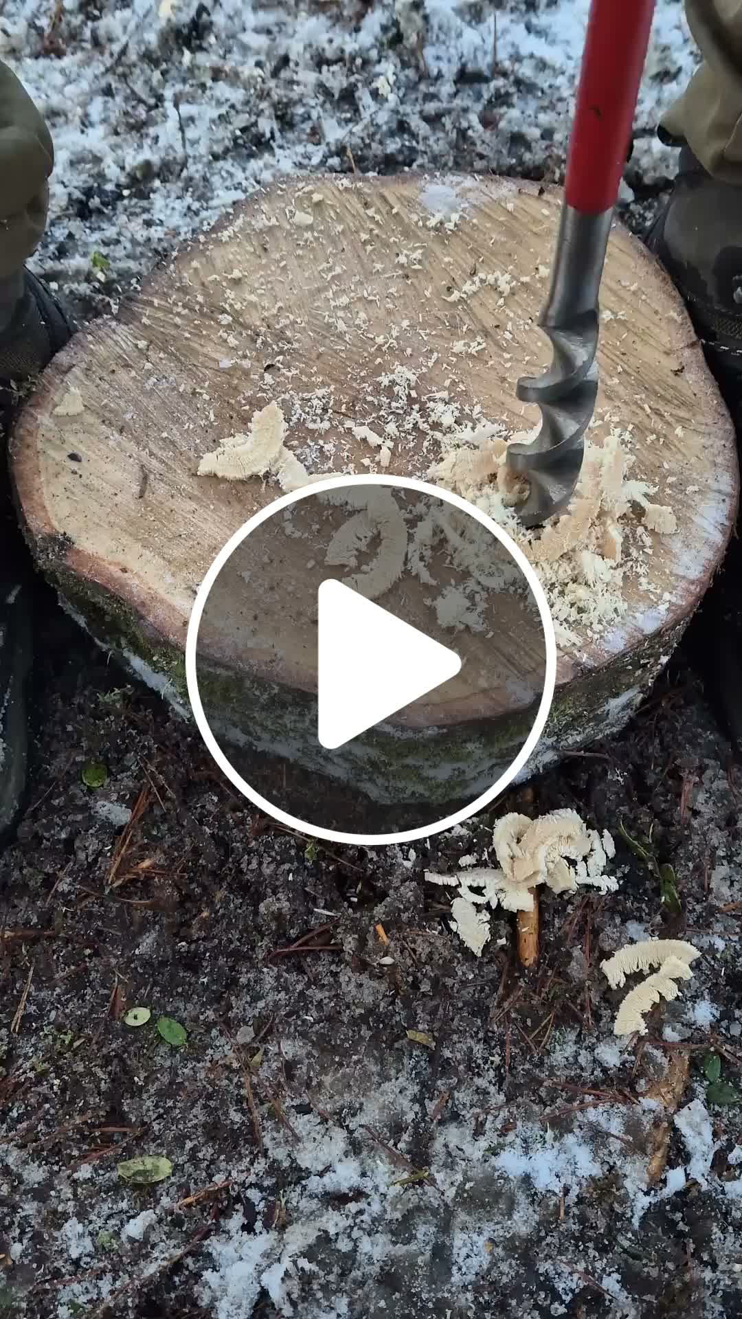 Making a resin candle stove out of a stump #survival #lifehacks # ...