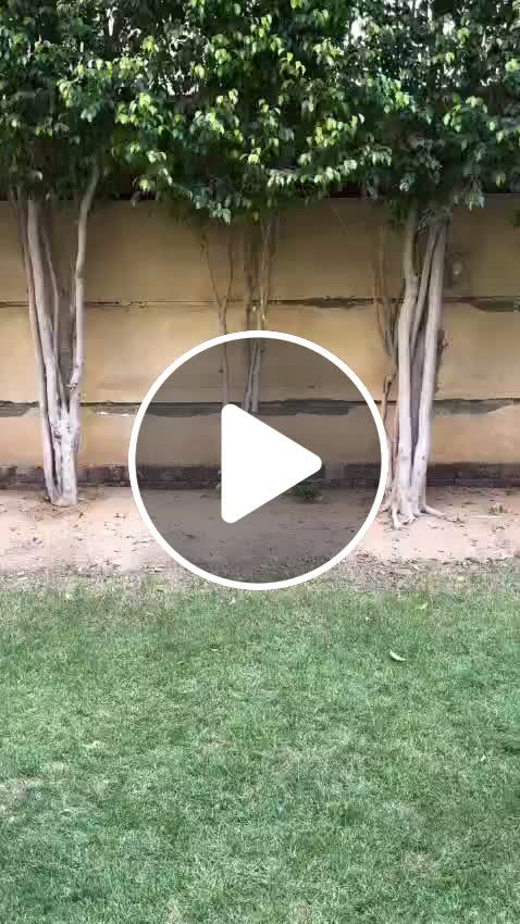 It doesn’t worth it ! - NewsBreak