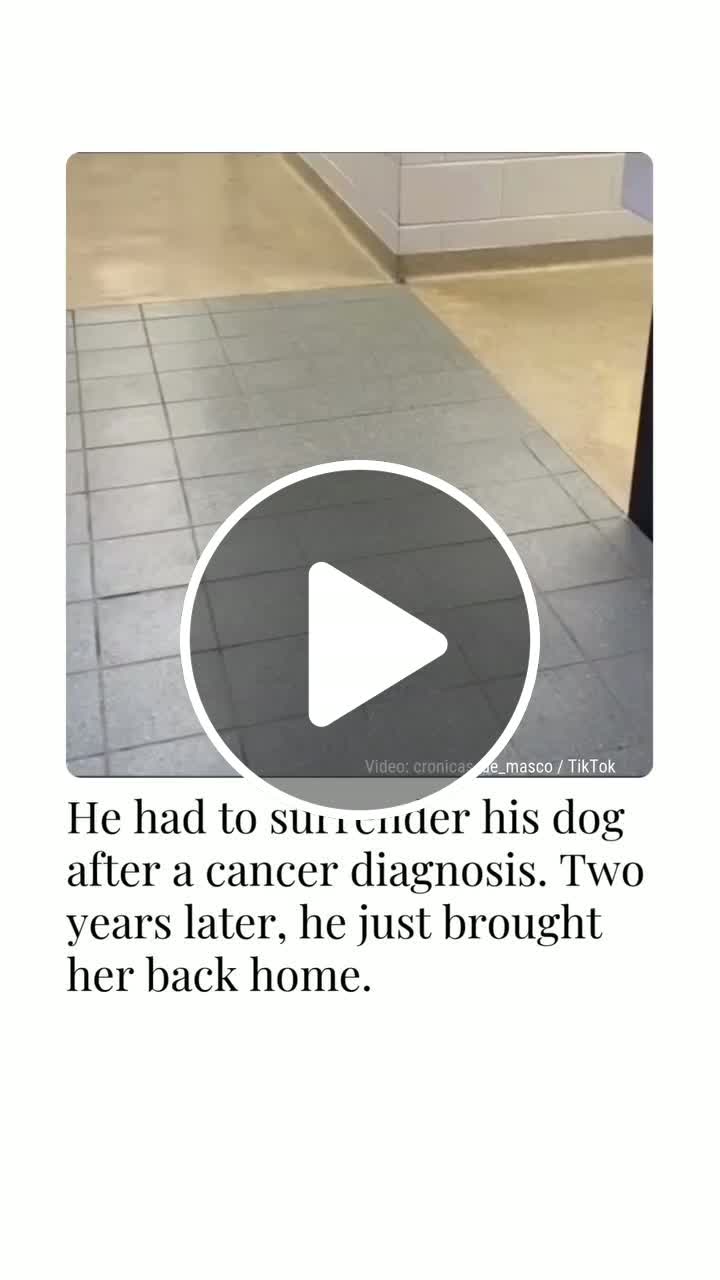 Michael Naylor, a 45-year-old man from Ontario, Canada, shares an ...