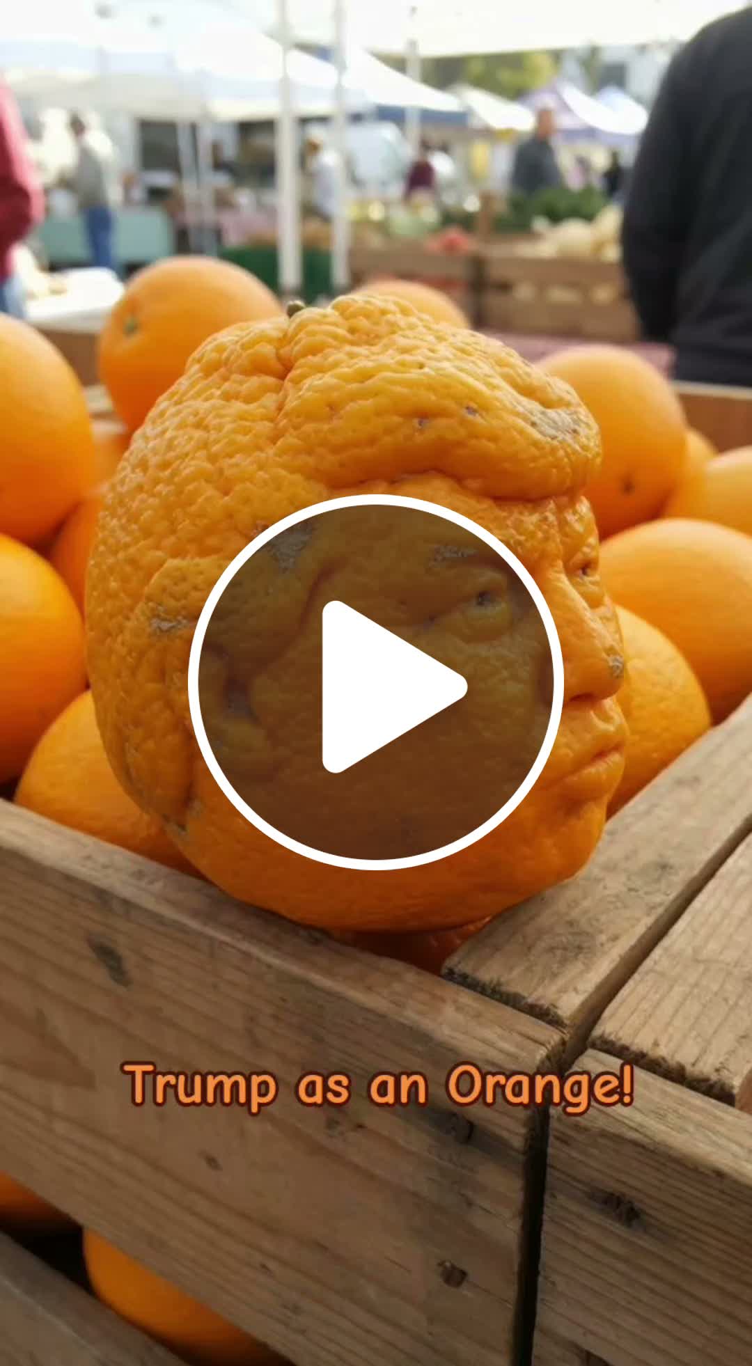 Trump as an Orange! #Trump #Orange #AI #Funny - NewsBreak