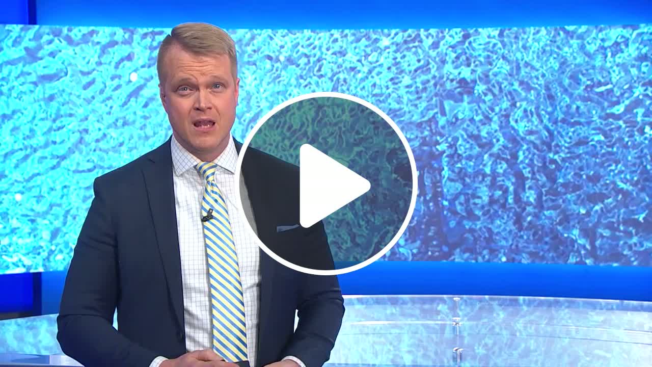 BPS Board member wants closer look at calendar to keep kids safe, avoid ...