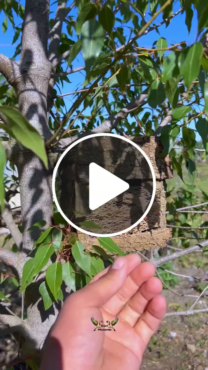 Mike Tyson hands Trump personal letter from Diddy begging for pardon as ...