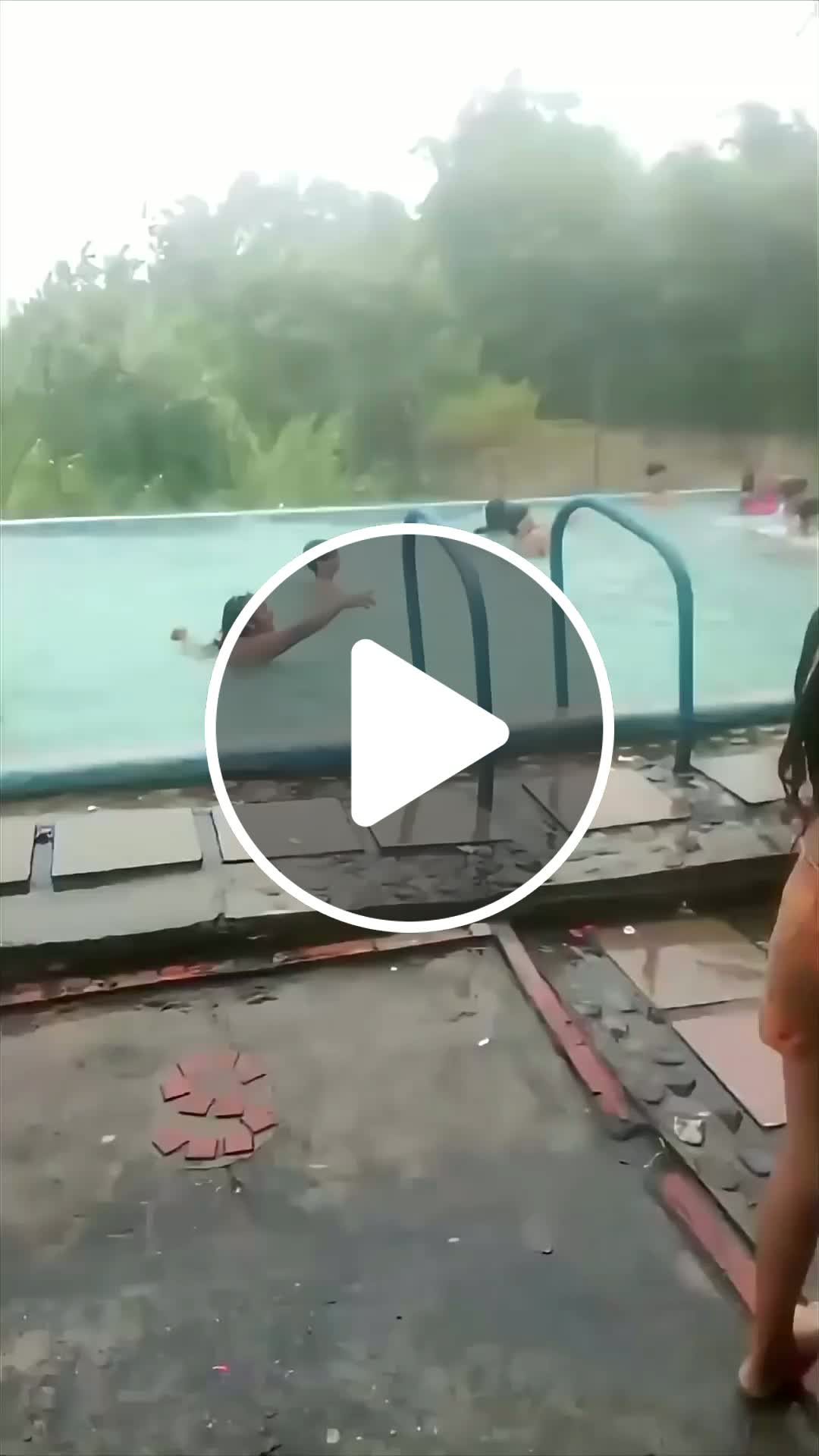 Sudden Storm Sends Palm Tree Crashing Into Pool Party - NewsBreak