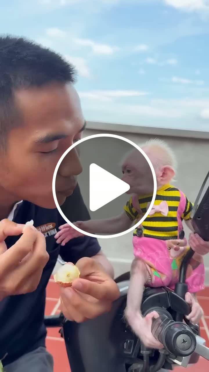 Awww he cute cute - NewsBreak