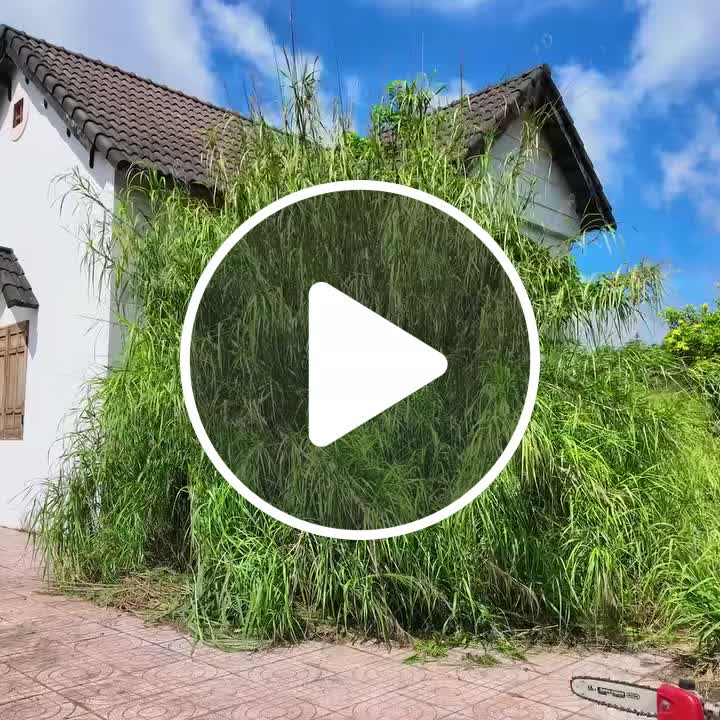 The Bears Leaving Illinois Just Got Very Real After Roger Goodell’s ...