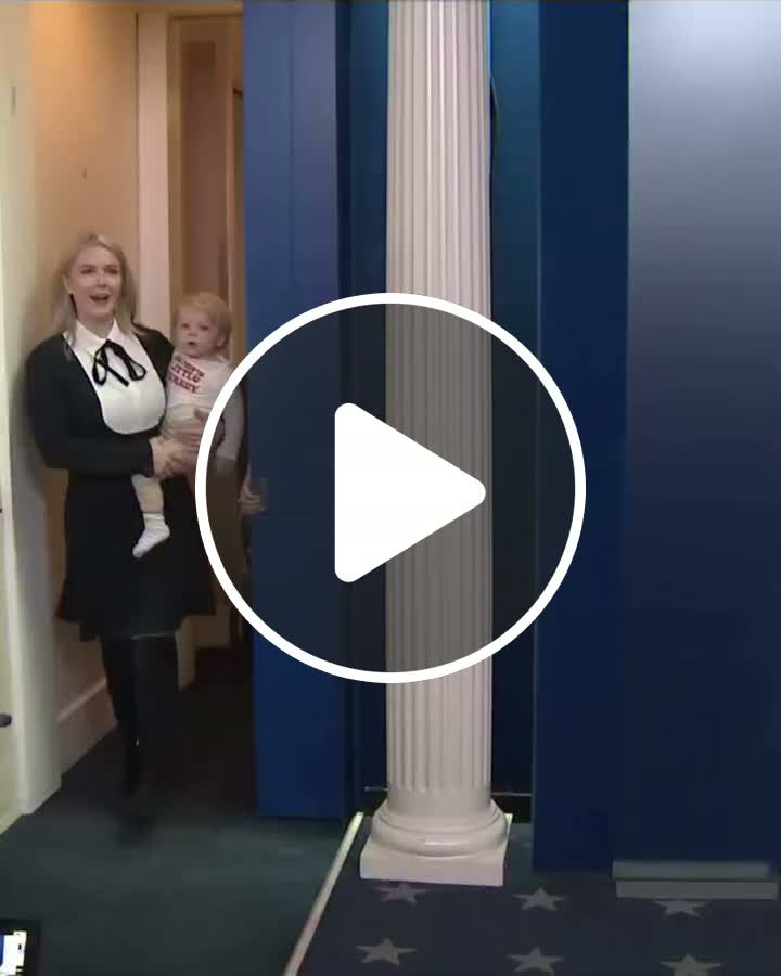 Waddle,” one of the turkeys set to receive a presidential pardon ahead ...