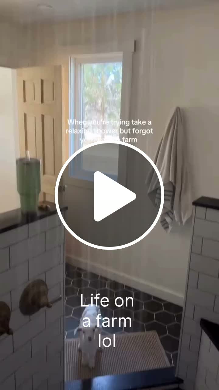 life on a farm be like 👍 👌 😏 - NewsBreak