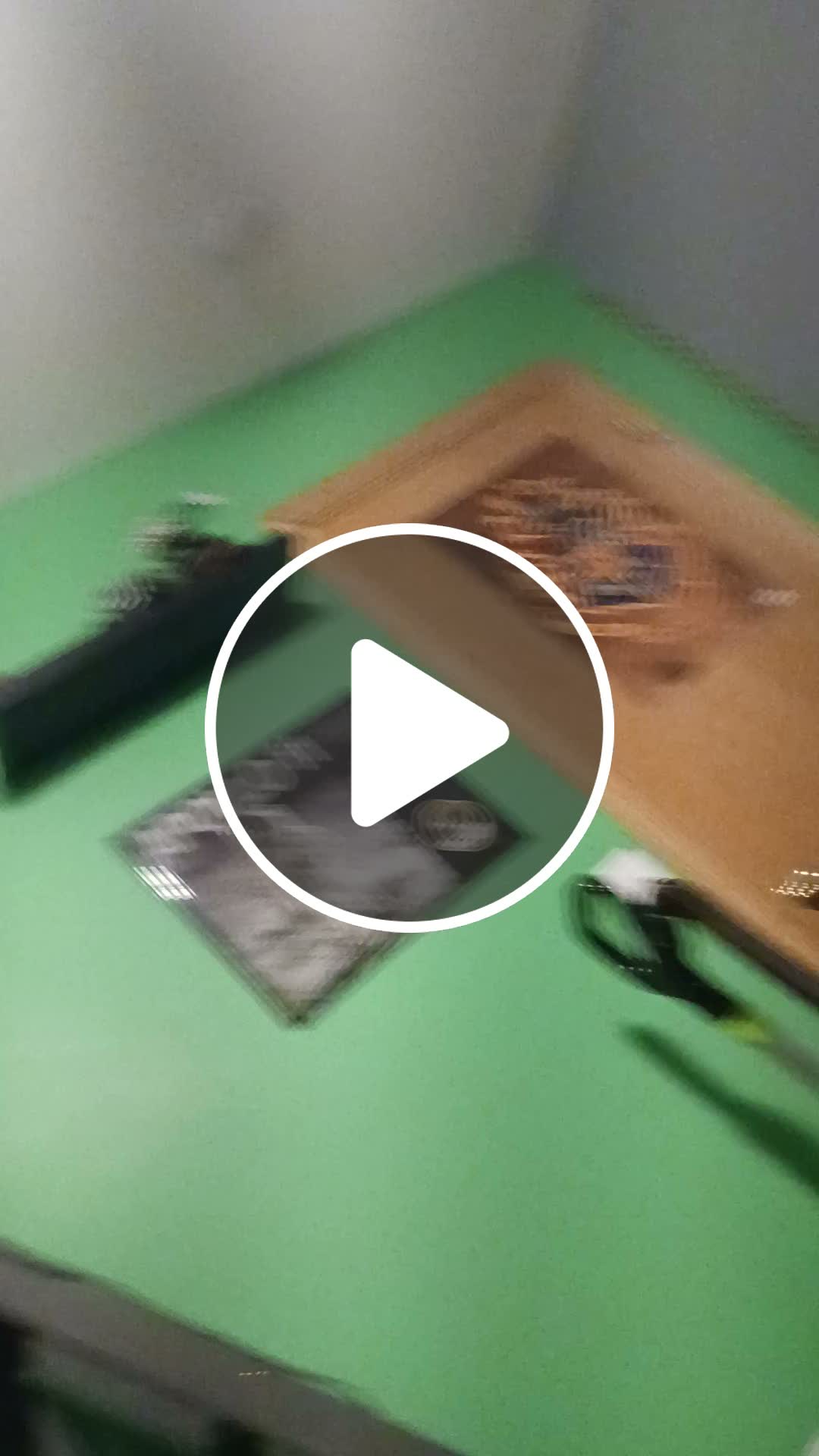 cat and dogs - NewsBreak