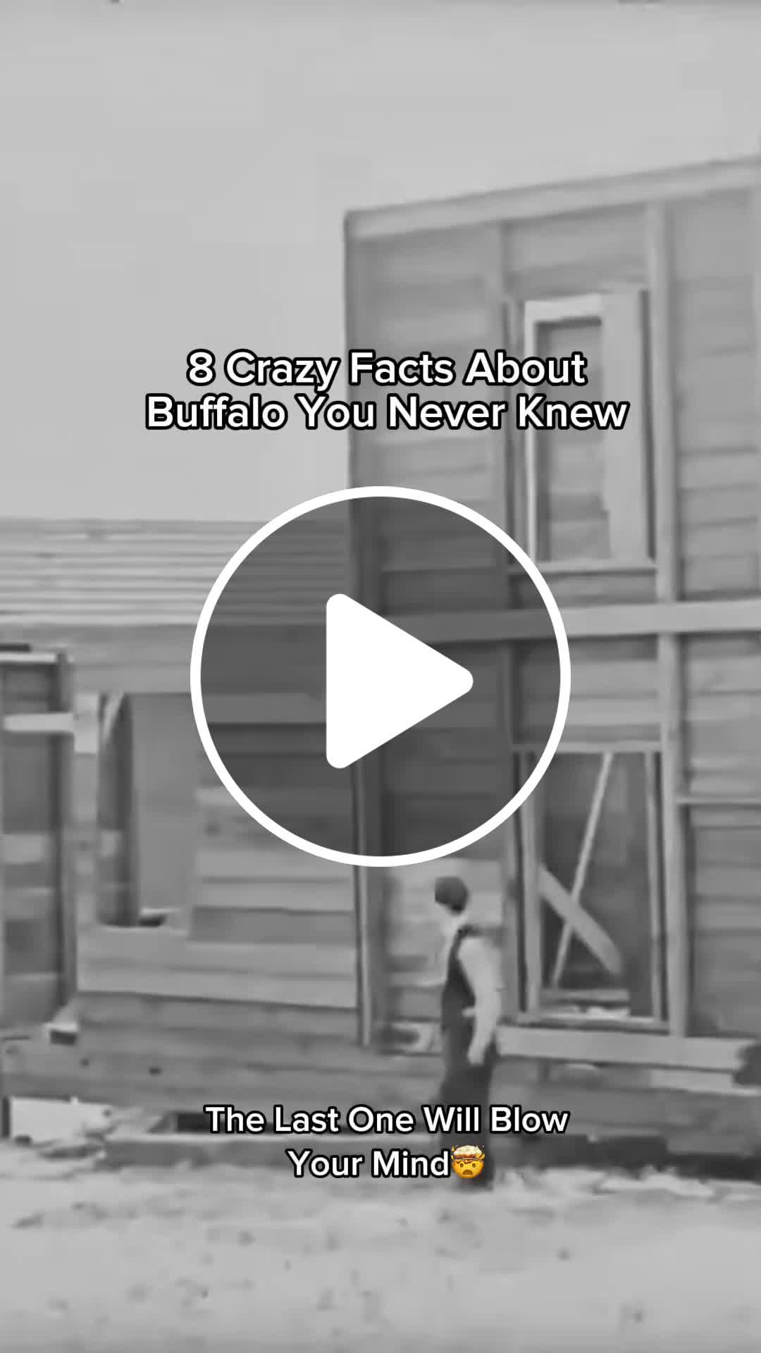 Who’s repping Buffalo? Let’s talk about the history of this iconic city ...