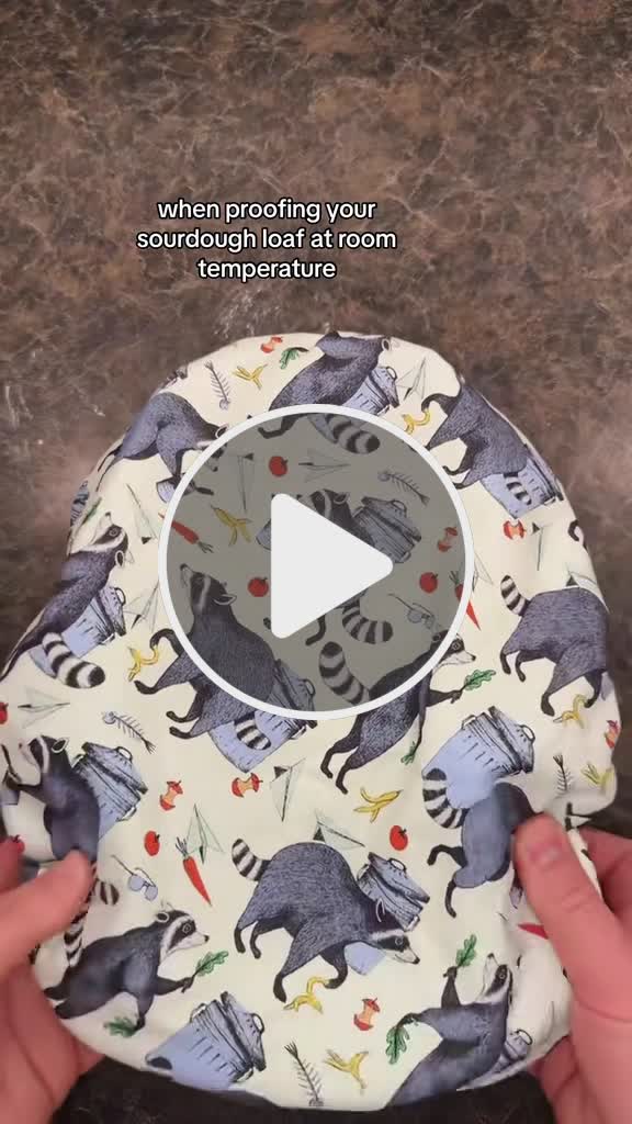 Sourdough Poke Test #onthisday #sourdough #bakersoftiktok # ...