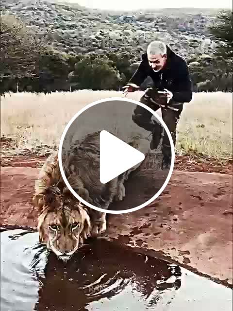 Normal animal VS Strongest animal of the zoo - NewsBreak