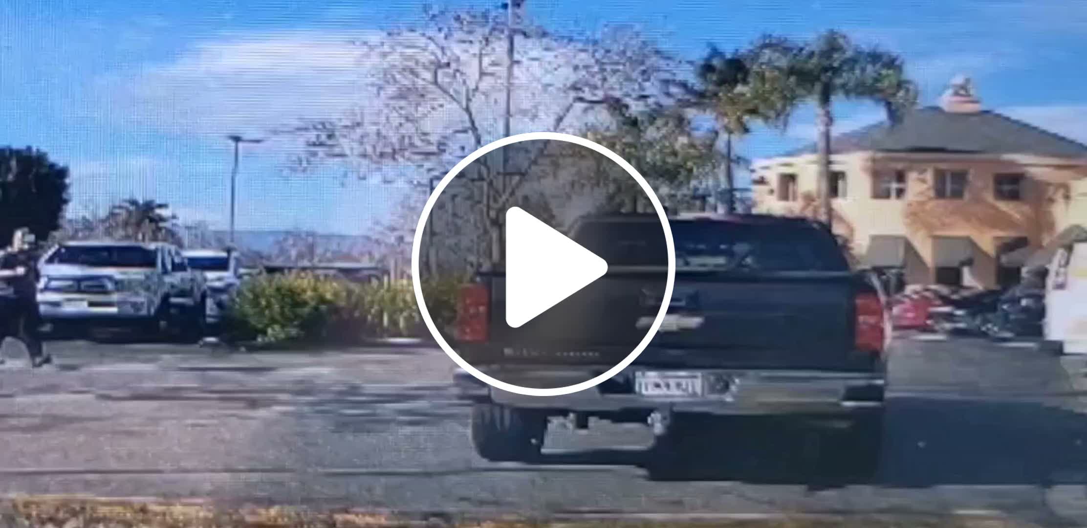 Cell phone addiction is real. People can't even walk in a parking lot ...