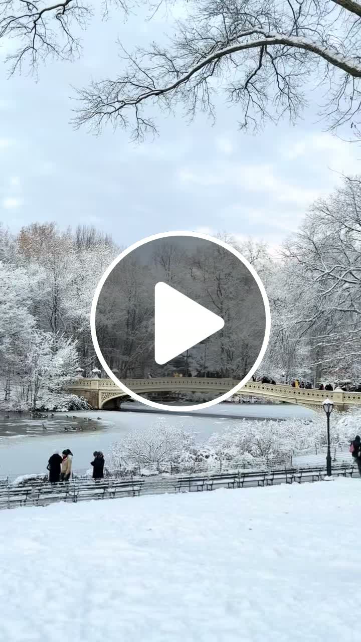 Experience the magic of Central Park covered in December snow ️ # ...