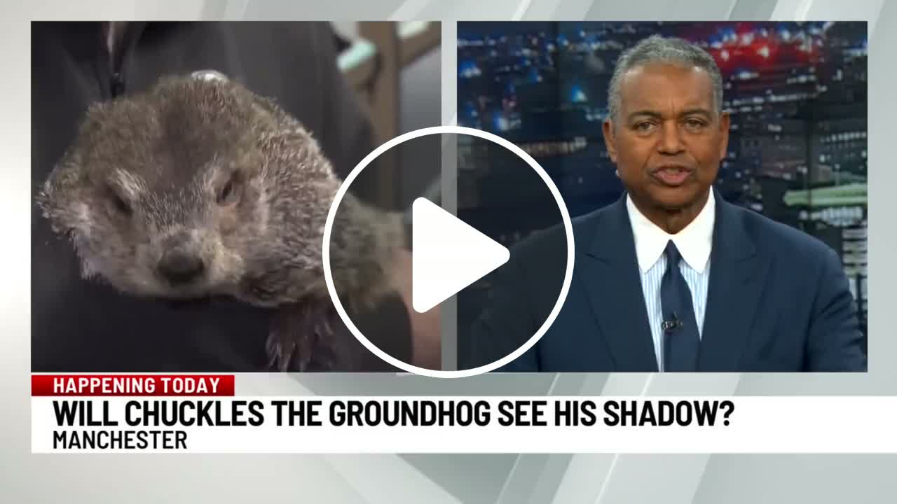 Will Connecticut see an early spring this Groundhog Day? - NewsBreak