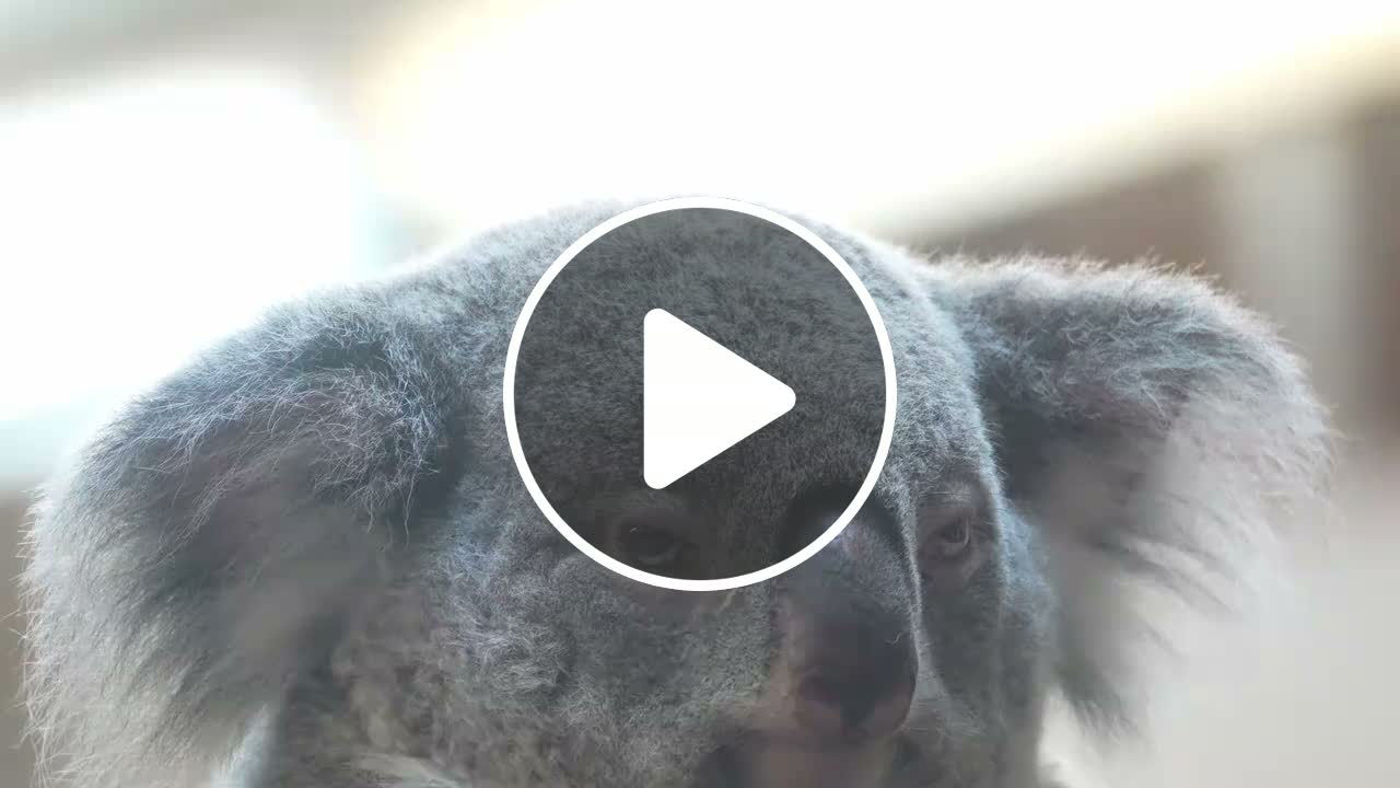 He knows something… idk what… but he’s seen something - NewsBreak