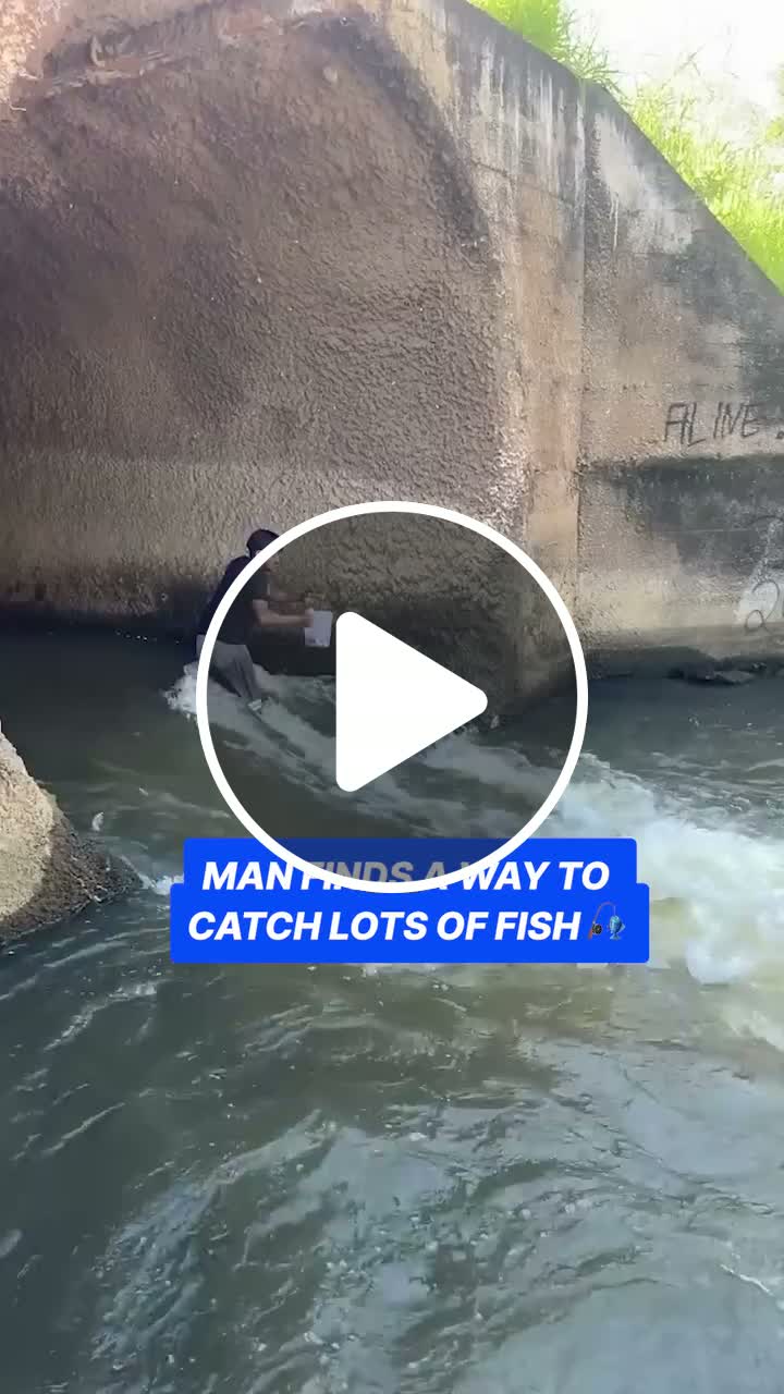 Fishing went well today - NewsBreak