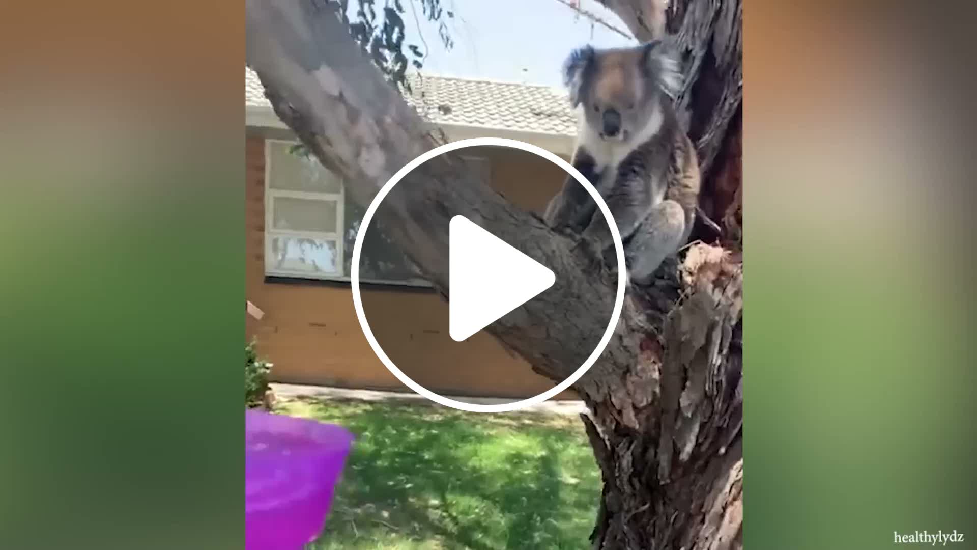 100 Random Acts of Kindness That Will Make You Cry! - 006 - NewsBreak