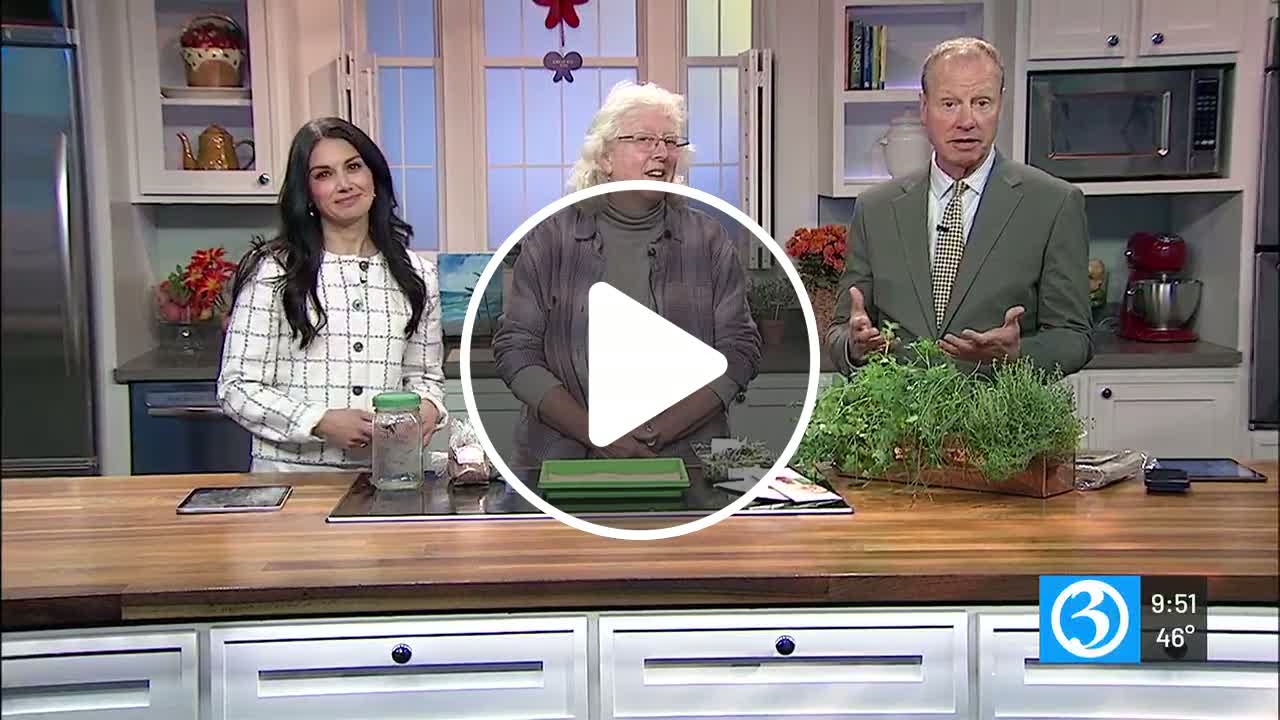 Gardening 101: Indoor growing tips - NewsBreak