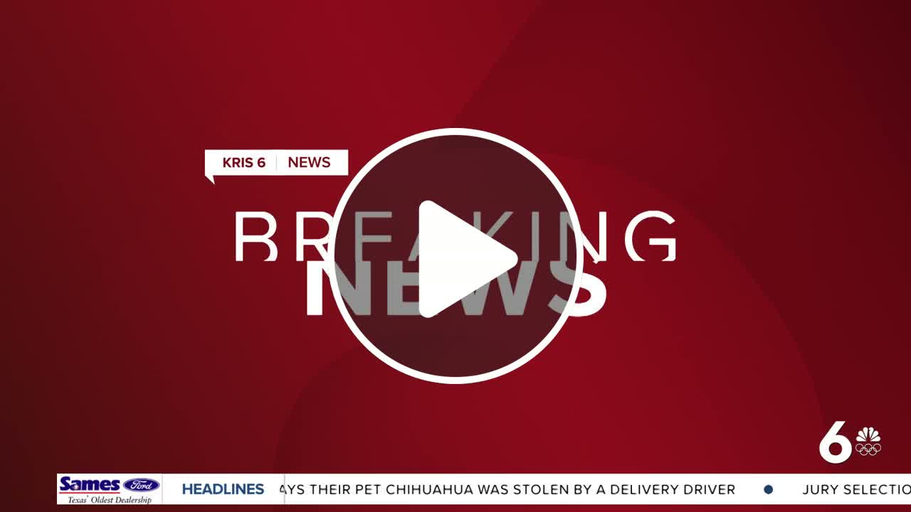 Odem-Edroy High School student arrested, charged with indecency with a ...