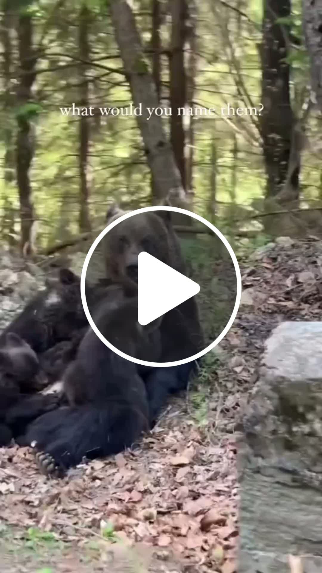 Ever witnessed pure unfiltred love as this#nature#motherhood - NewsBreak