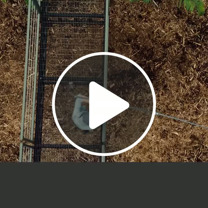 All The Best Scenes from the Jurassic World Trilogy - NewsBreak