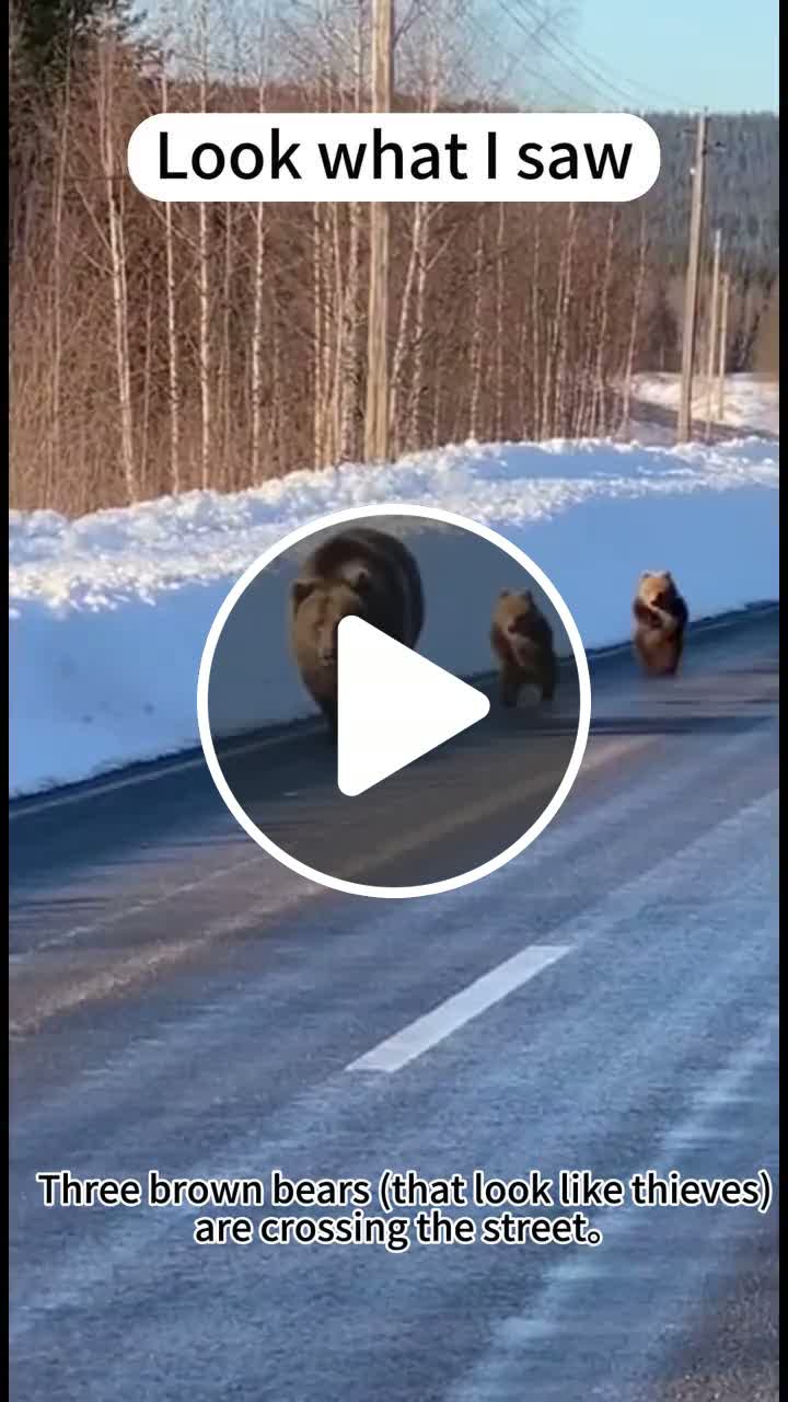 #learning to walk like human - NewsBreak