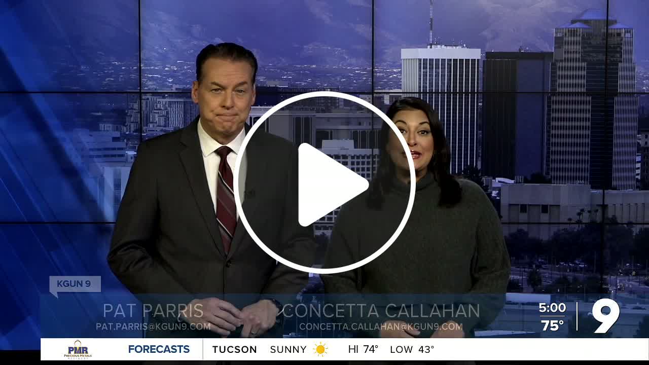 Fans react to Arizona Basketball’s 17-0 start - NewsBreak