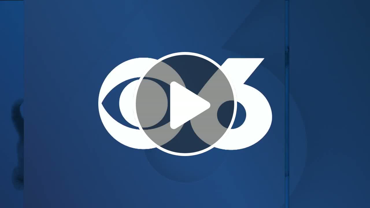 Paws for Pets: Cosmo, an enthusiastic pup who is a real snugger - NewsBreak