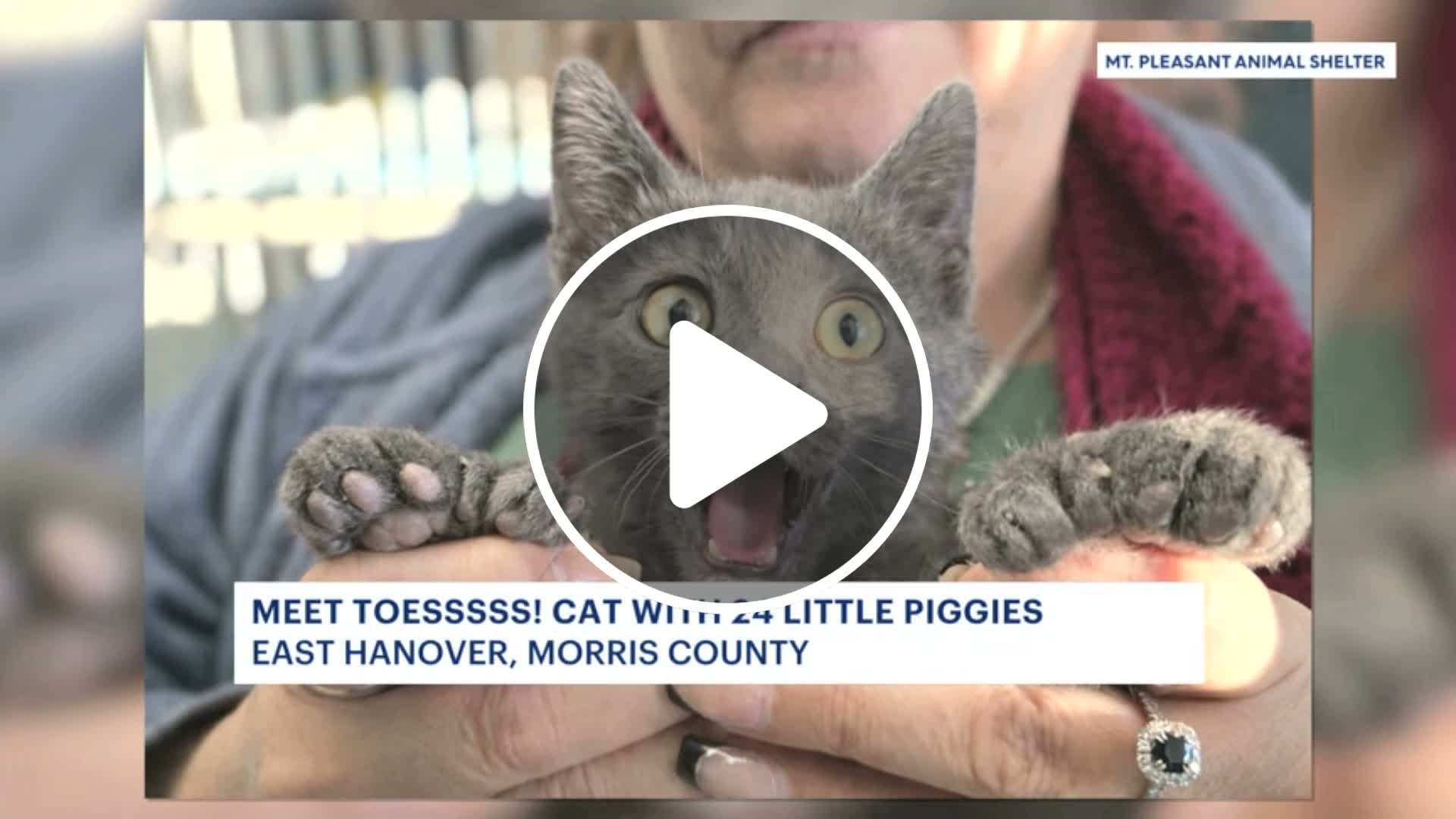 BITTER BLAST: Weekend nor'easter could scrape the coast - NewsBreak