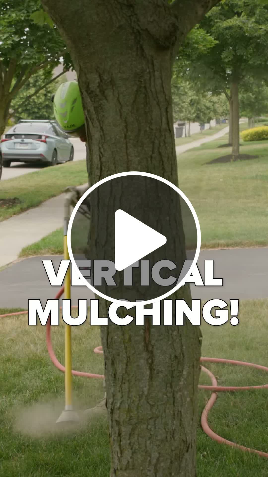Vertical mulching to improve tree health Using an air excavation device ...